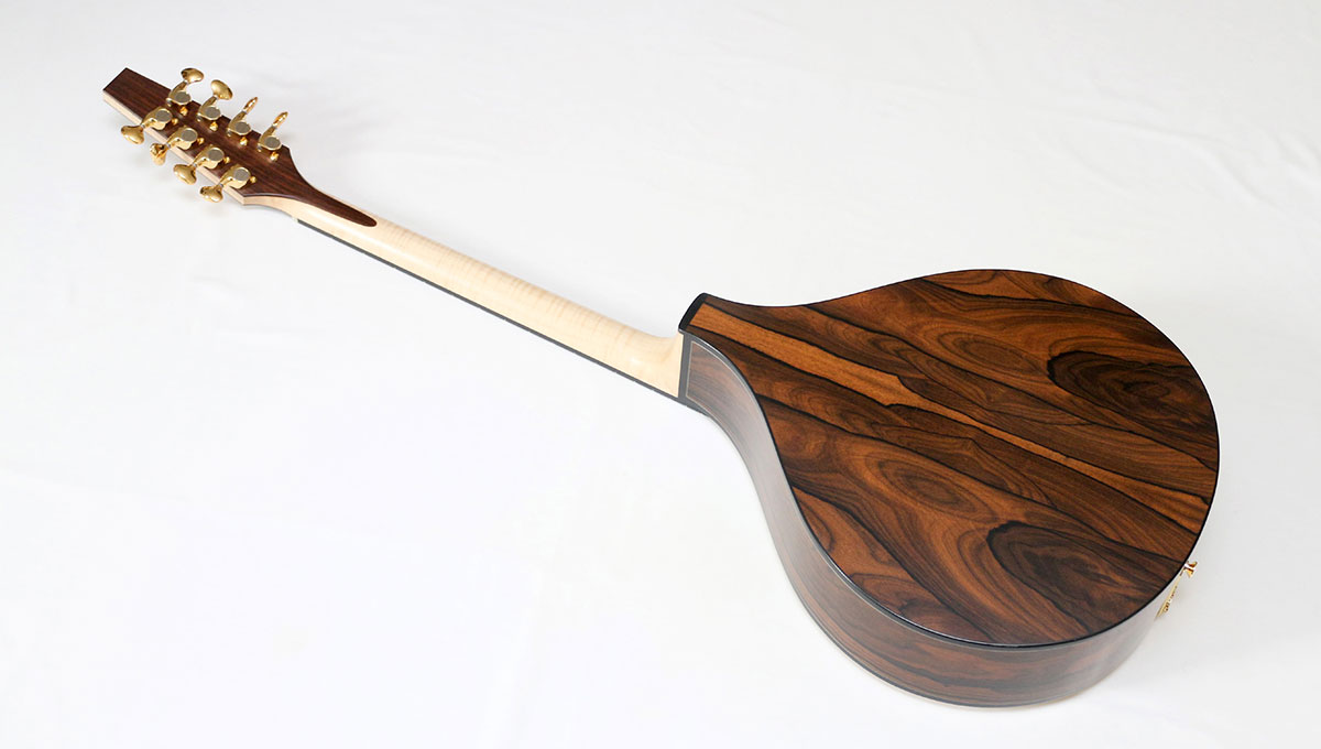 At last, a bouzouki of my own!! | Tobin Instruments